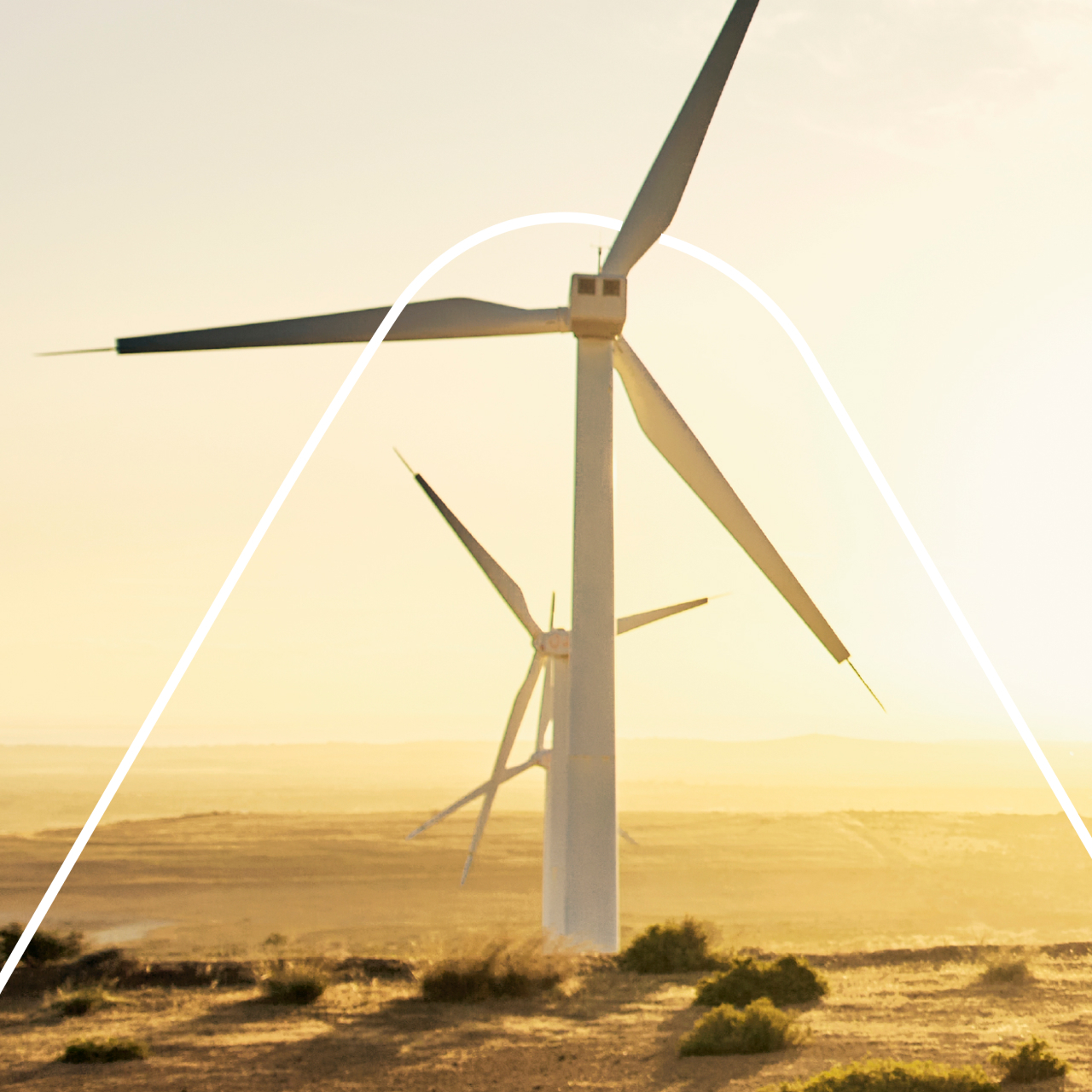 WeAct | Case Study | Juicebox